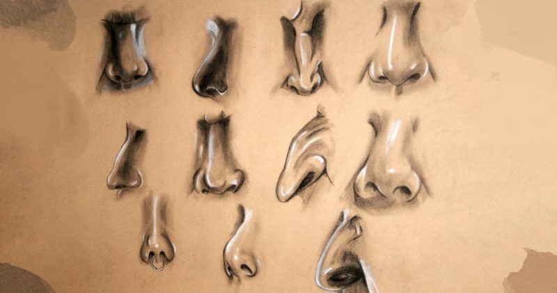 Que peut dire la forme du nez d'une personne, 90 % de précision